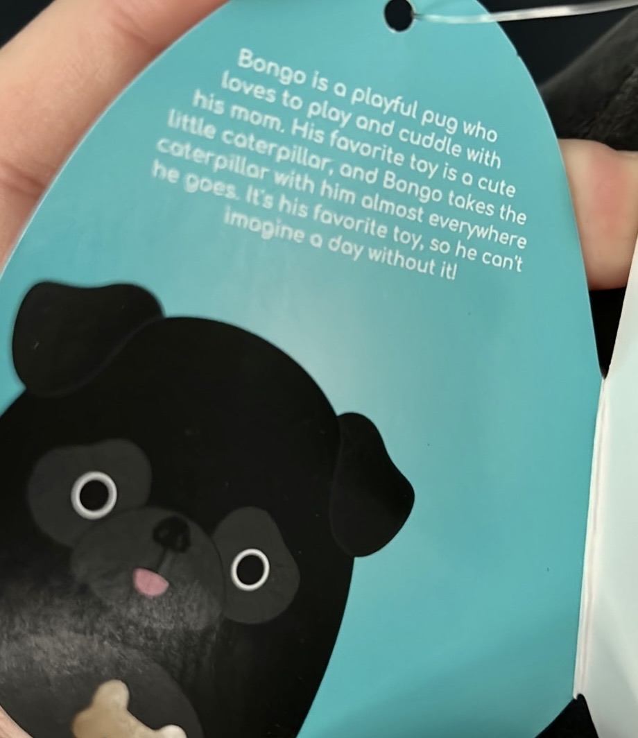 Bongo (Bone) the Pug (Dog) Squishmallows | SquadApp