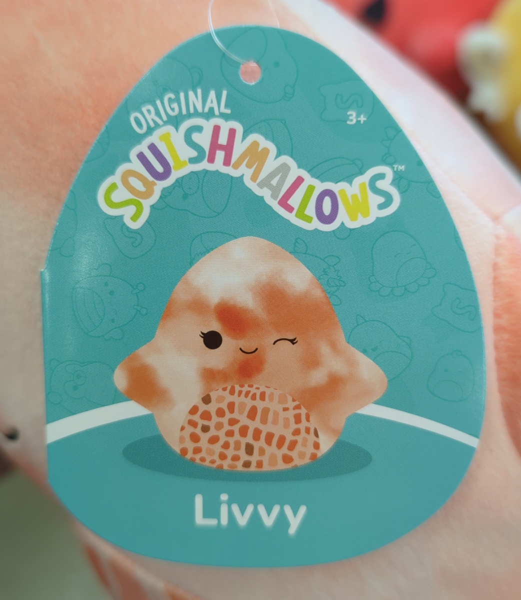 Livvy the Starfish Squishmallows Sealife | SquadApp
