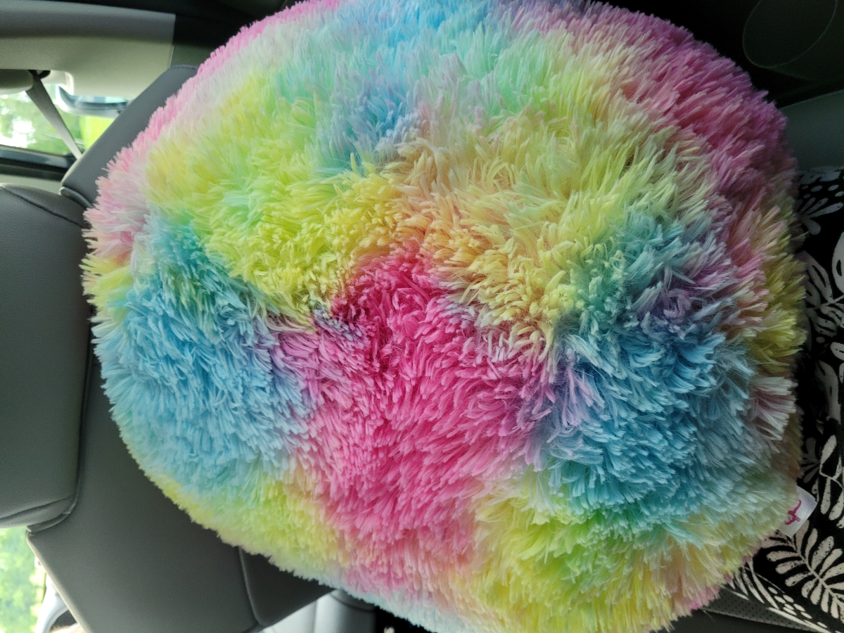 Bowie (Fuzz-A-Mallows) the Hedgehog Squishmallows | SquadApp