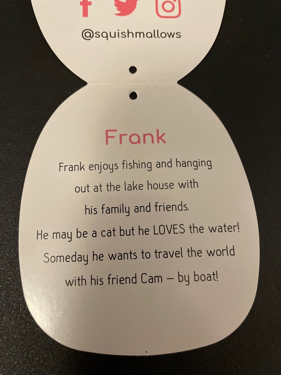 Frank (Valentine Hug Mees) the Cat Squishmallows Valentine | SquadApp