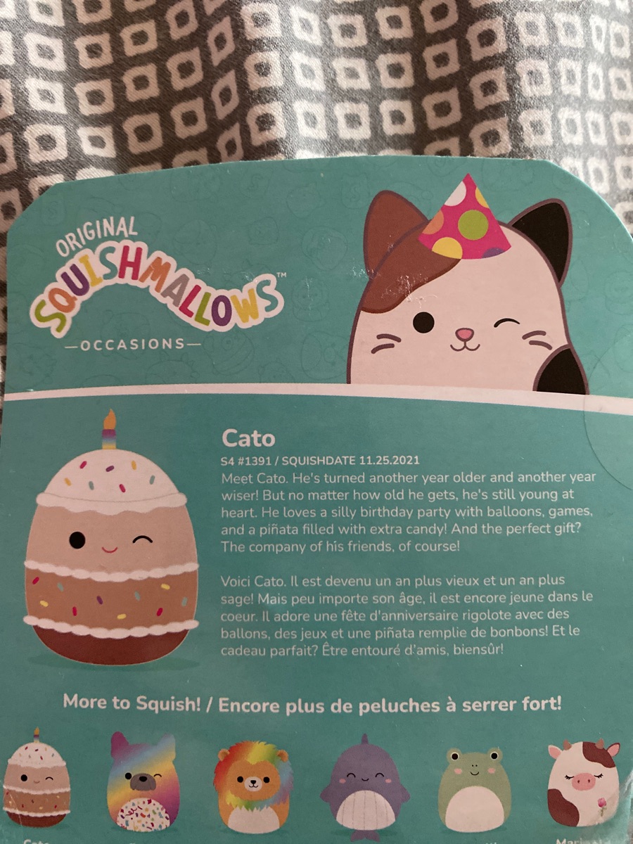Cato (Happy Birthday!) the Birthday Cake Squishmallows Occasions | SquadApp