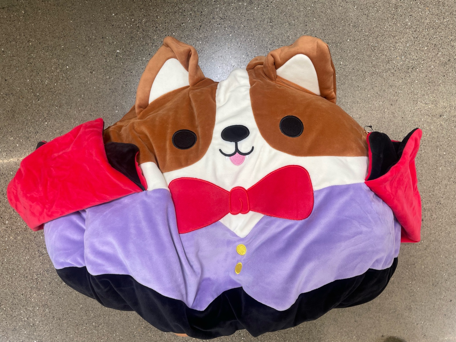 Reginald the Corgi (Dog) Squishmallows Halloween 2023 | SquadApp