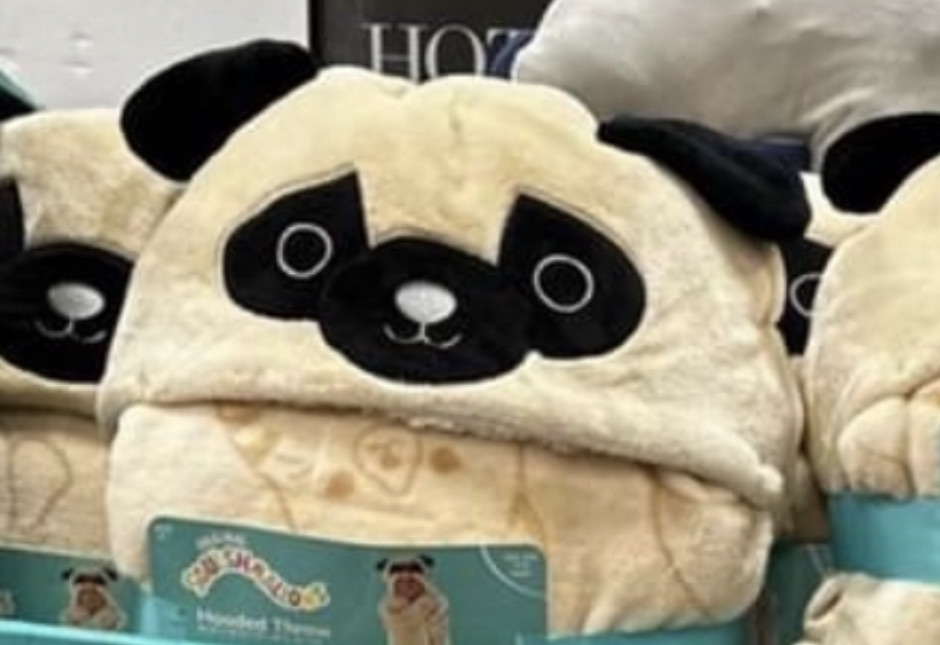 Prince the Pug (Dog) Squishmallows Apparel | SquadApp
