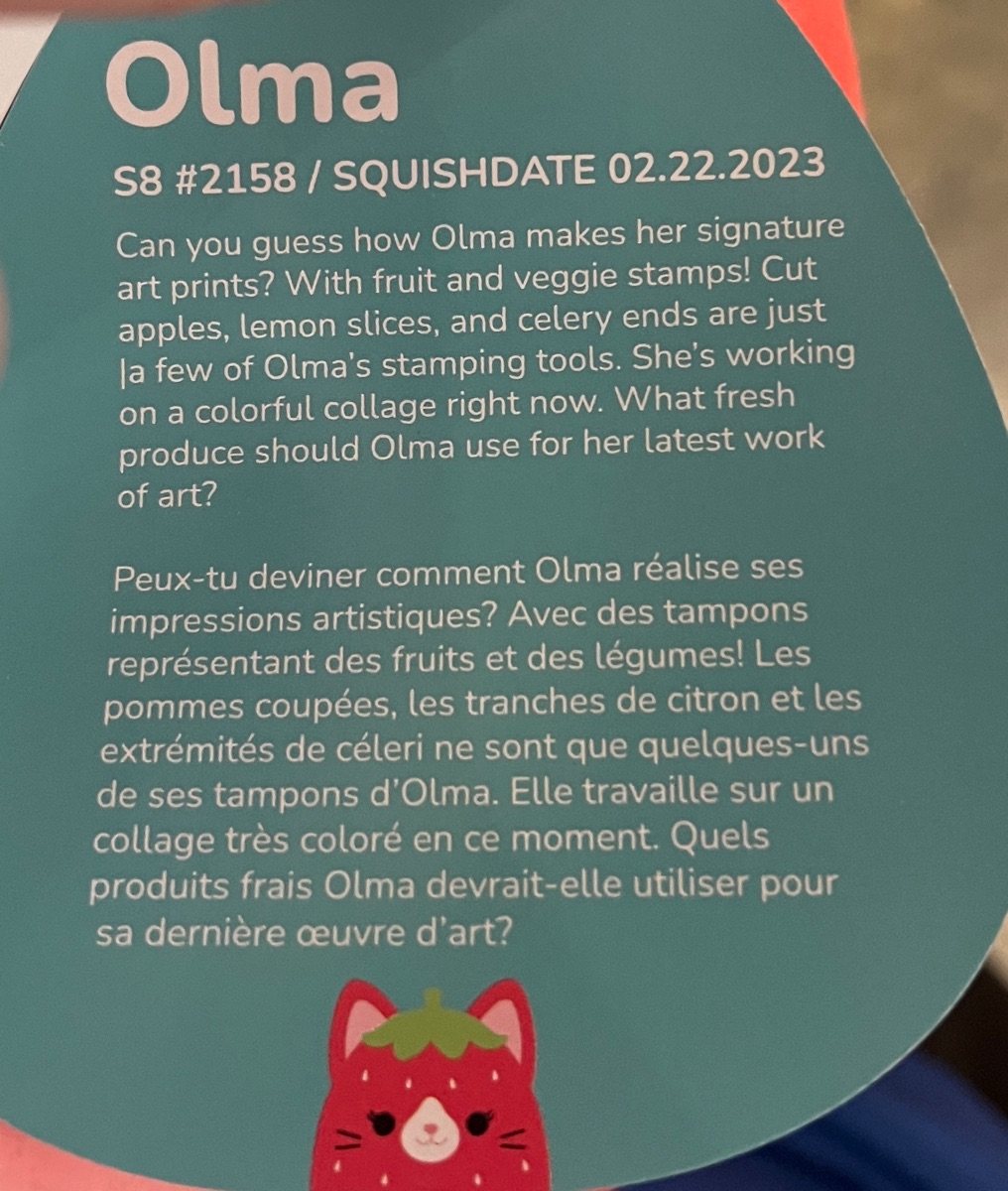 Olma the Strawberry Cat Squishmallows Fruit Animals | SquadApp