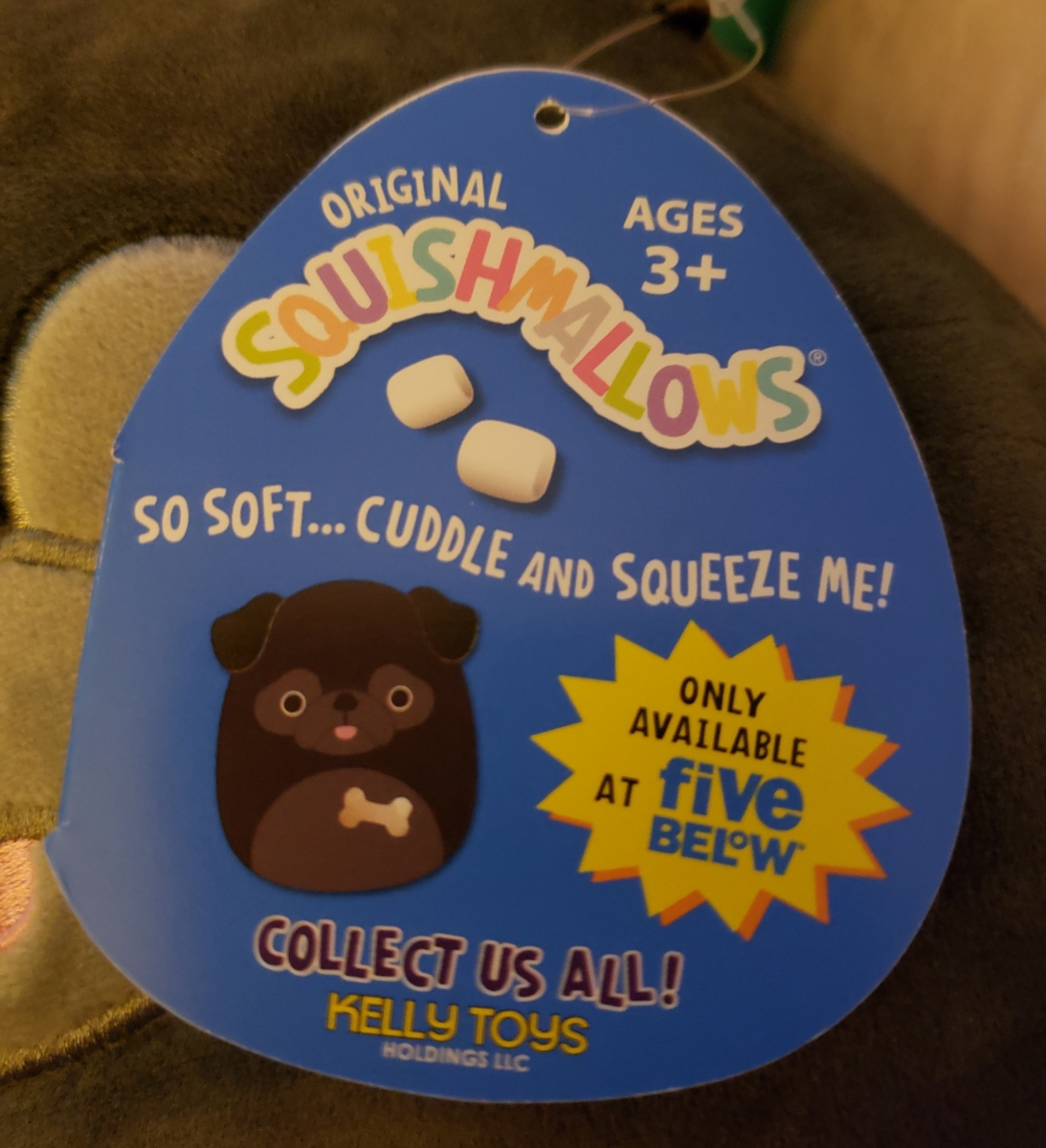 Bongo (Bone) the Pug (Dog) Squishmallows | SquadApp