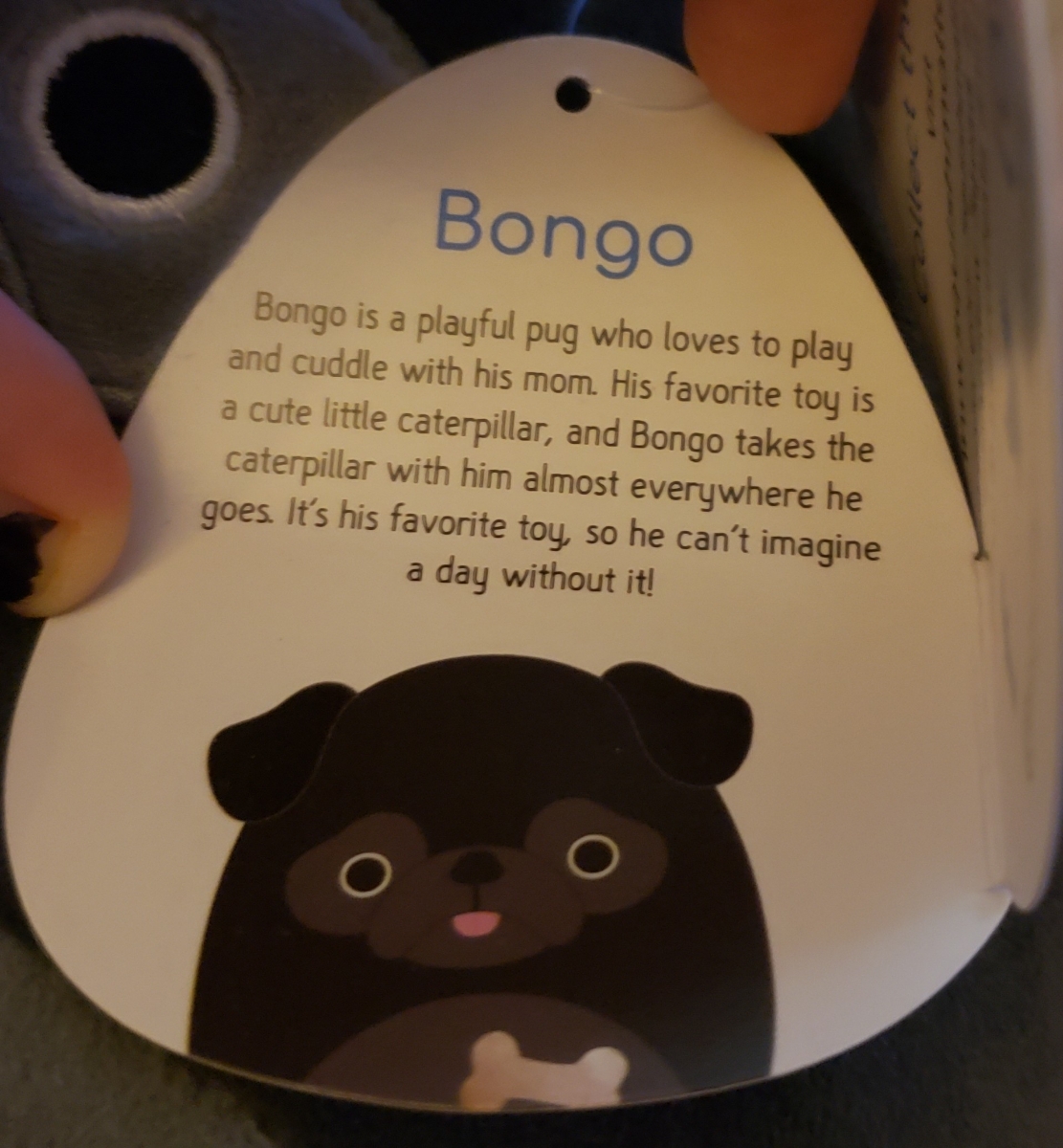 Bongo (Bone) the Pug (Dog) Squishmallows | SquadApp