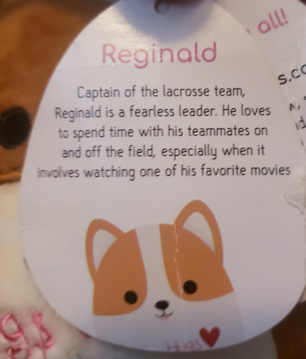 Reginald the Corgi (Dog) Squishmallows heart | SquadApp