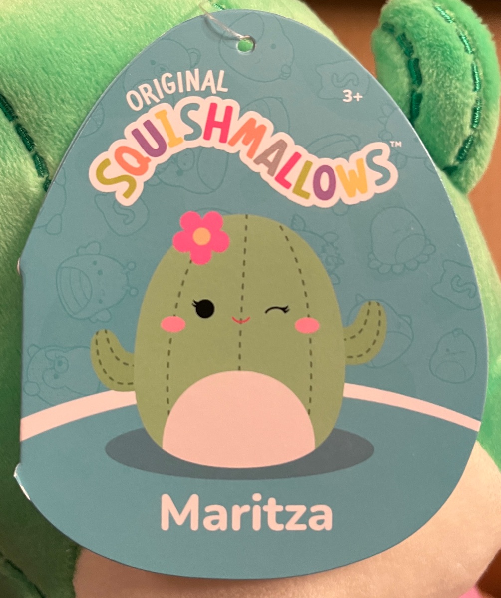 Maritza (Flower, Winking) the Cactus Squishmallows | SquadApp