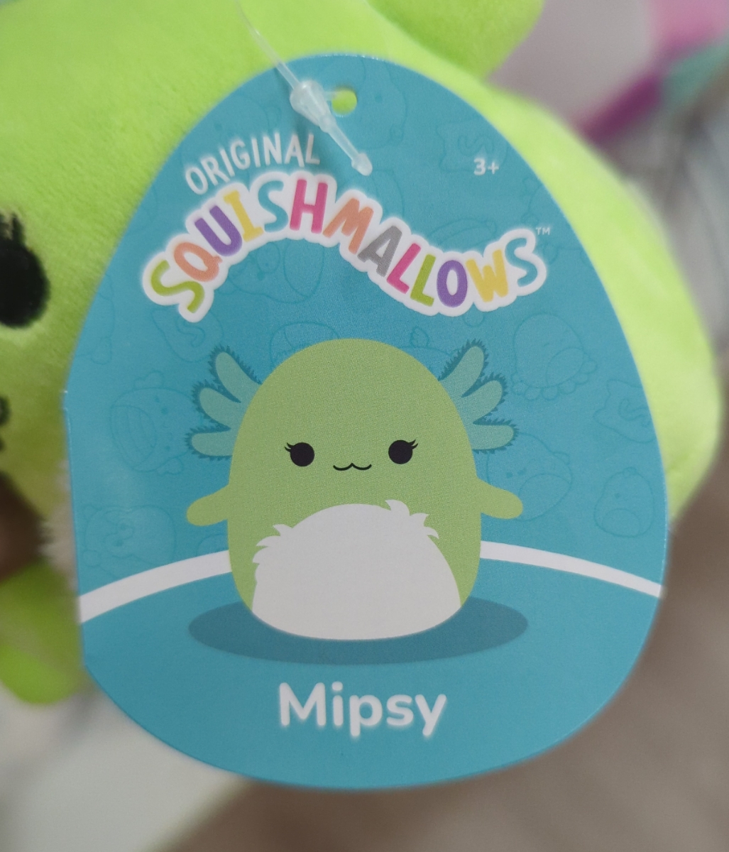 Mipsy the Axolotl Squishmallows | SquadApp
