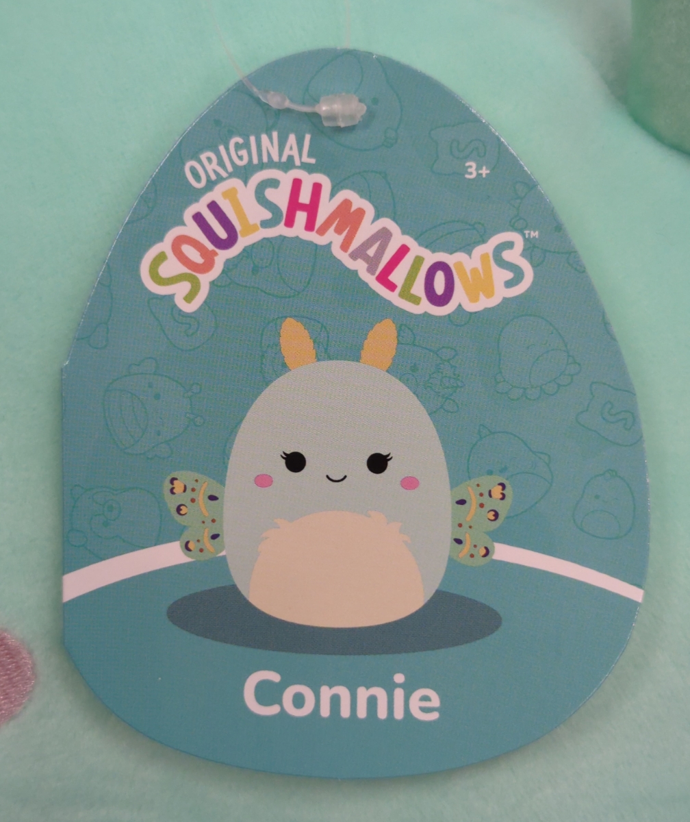 Connie the Moth Squishmallows | SquadApp