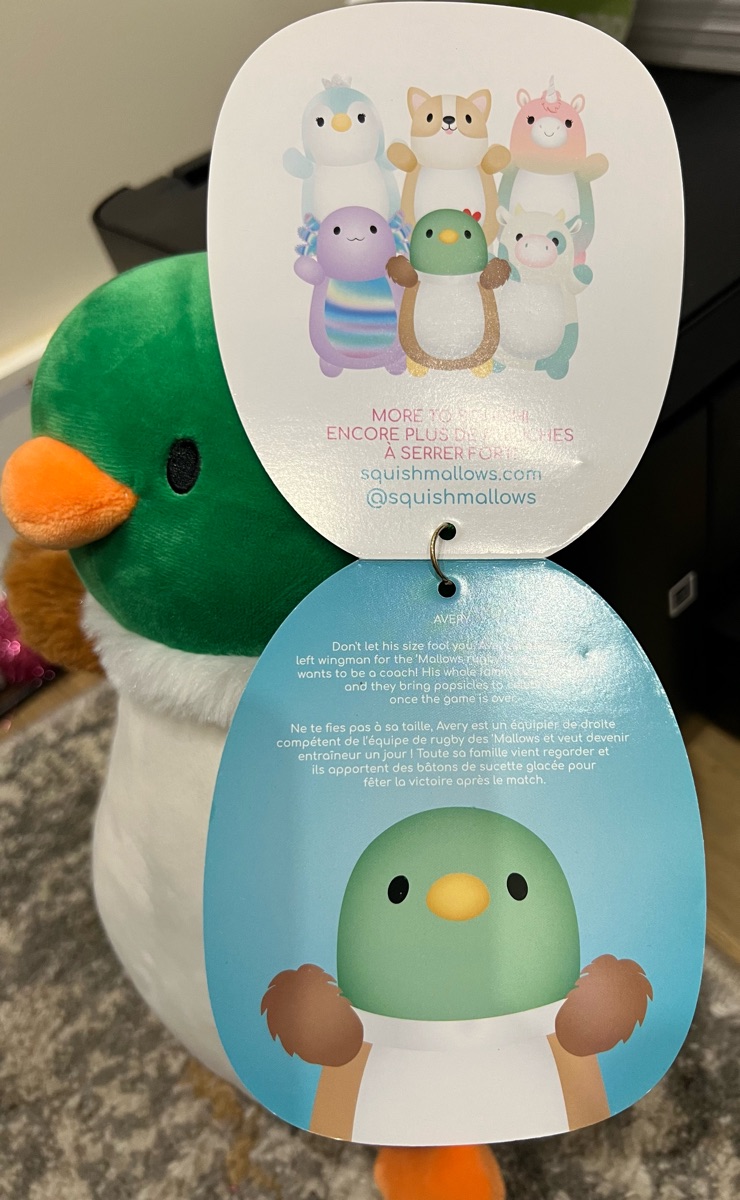Avery (Hug Mees) the Duck Squishmallows | SquadApp