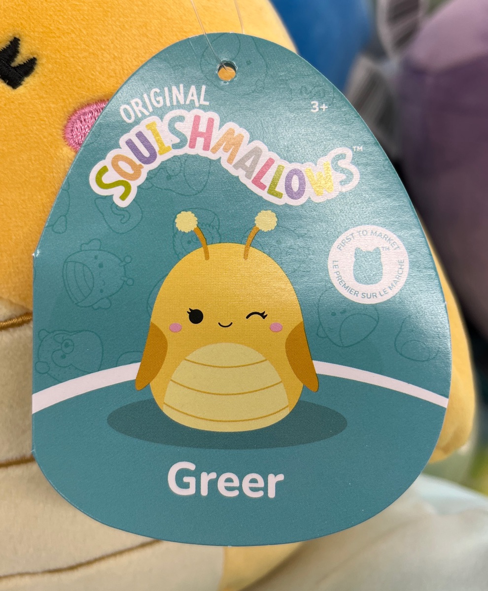 Greer the Grasshopper Squishmallows Cottagecore, 5B 11.19.23 | SquadApp