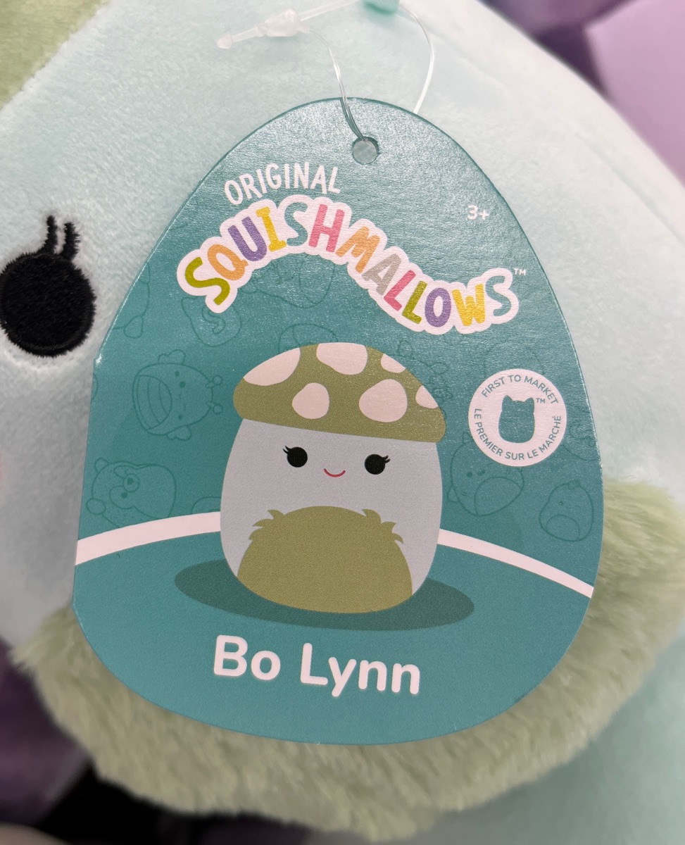 Bo Lynn the Mushroom Squishmallows Cottagecore, 5B 11.19.23 | SquadApp