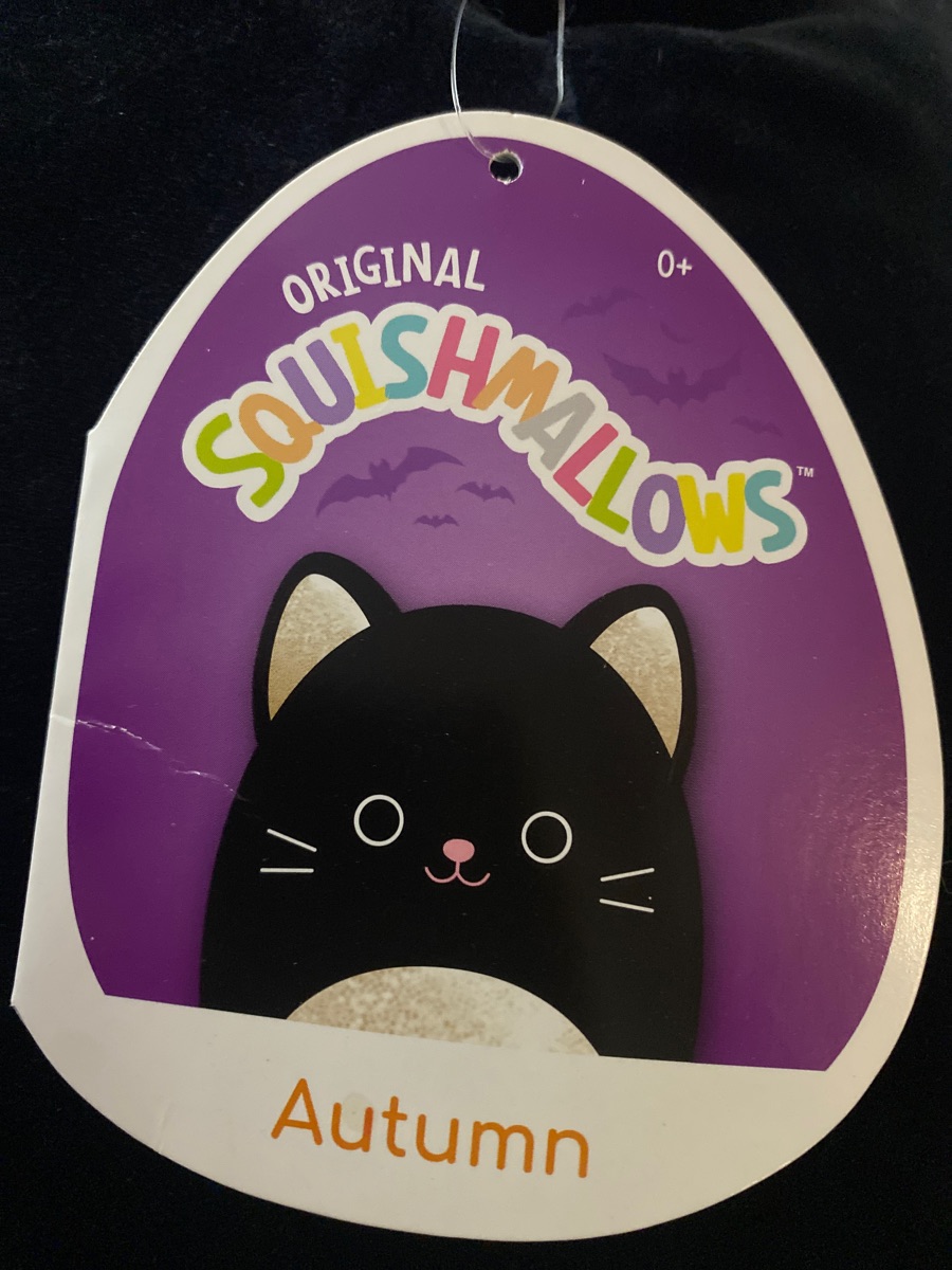 Autumn (Black & Gold) the Cat Squishmallows Black & Gold | SquadApp