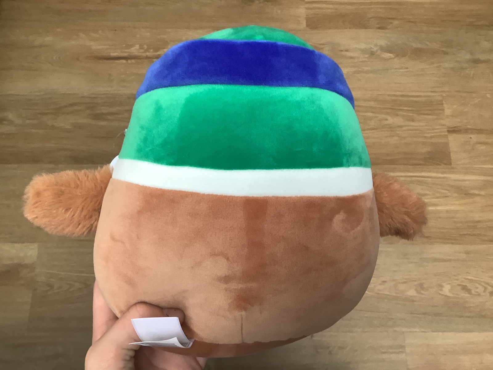 Avery (Football, Sweatband) the Duck Squishmallows | SquadApp