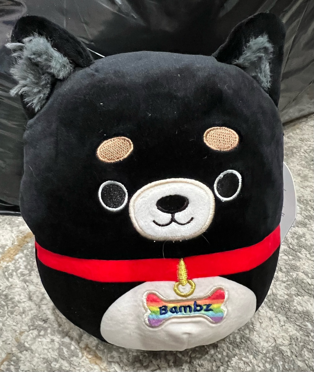 Bambz the Pomchi (Dog) Squishmallows | SquadApp