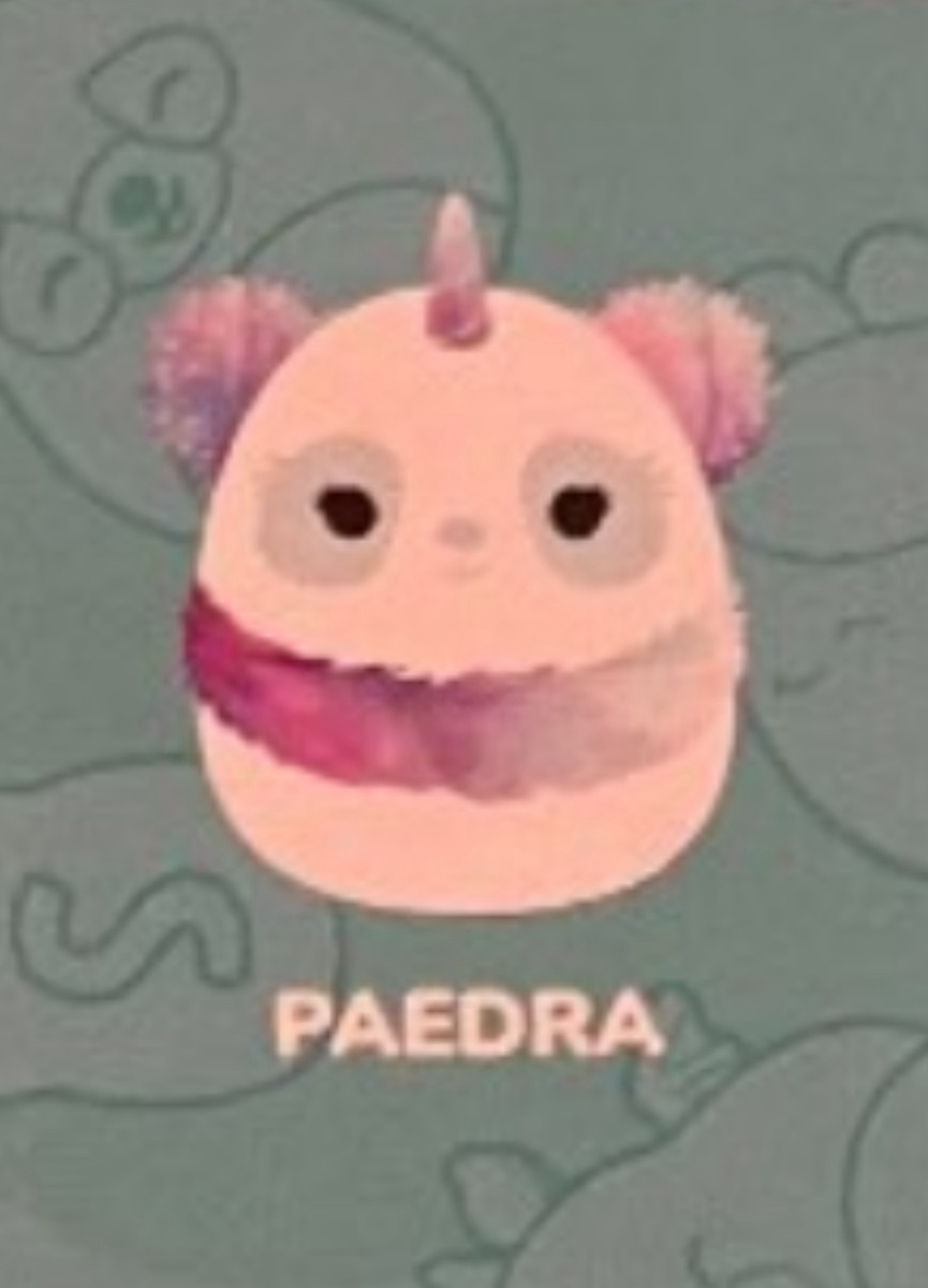 Paedra (SV) the Pandacorn Squishmallows SV Series 12 | SquadApp