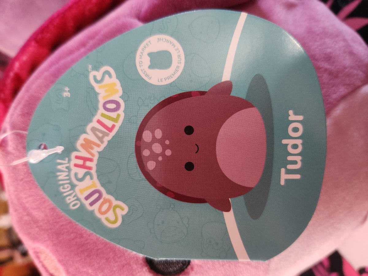 Tudor the Turtle Squishmallows Sealife, 5B 12.17.23 | SquadApp