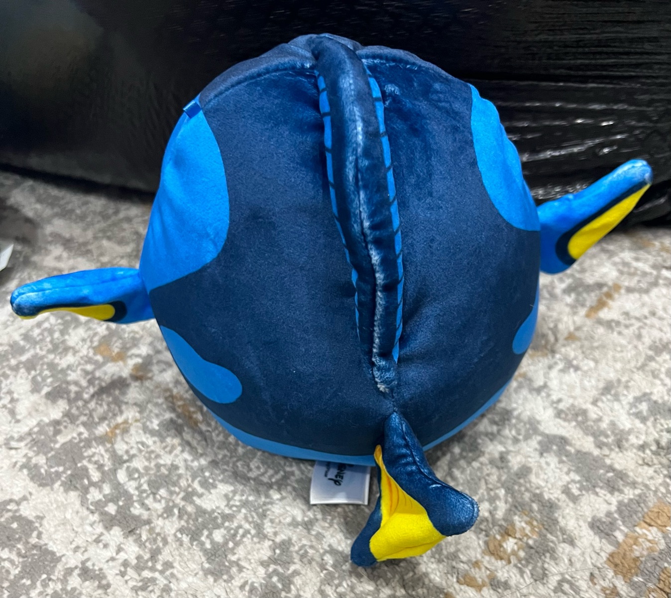 Dory the Fish Squishmallows Disney | SquadApp