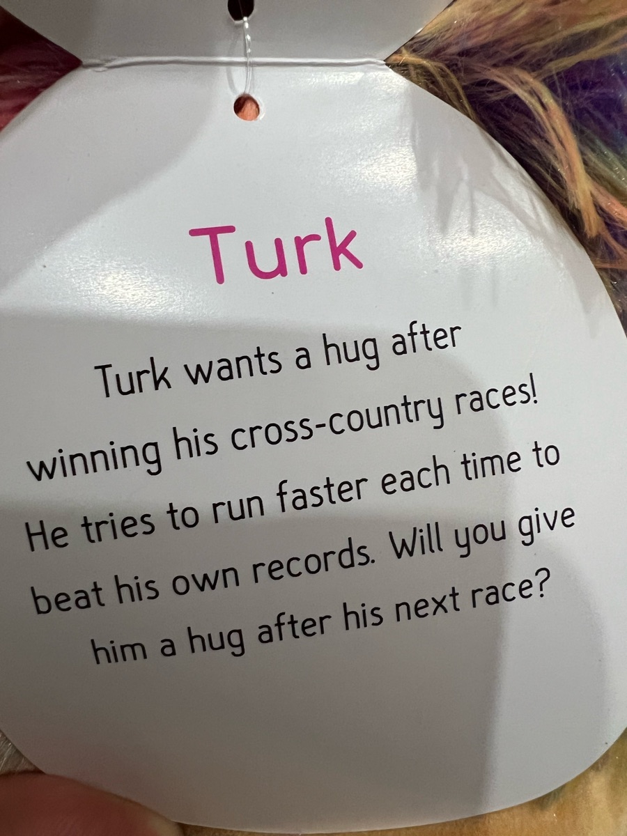 Turk (Valentine Hug Mees) the Lion Squishmallows Valentine | SquadApp