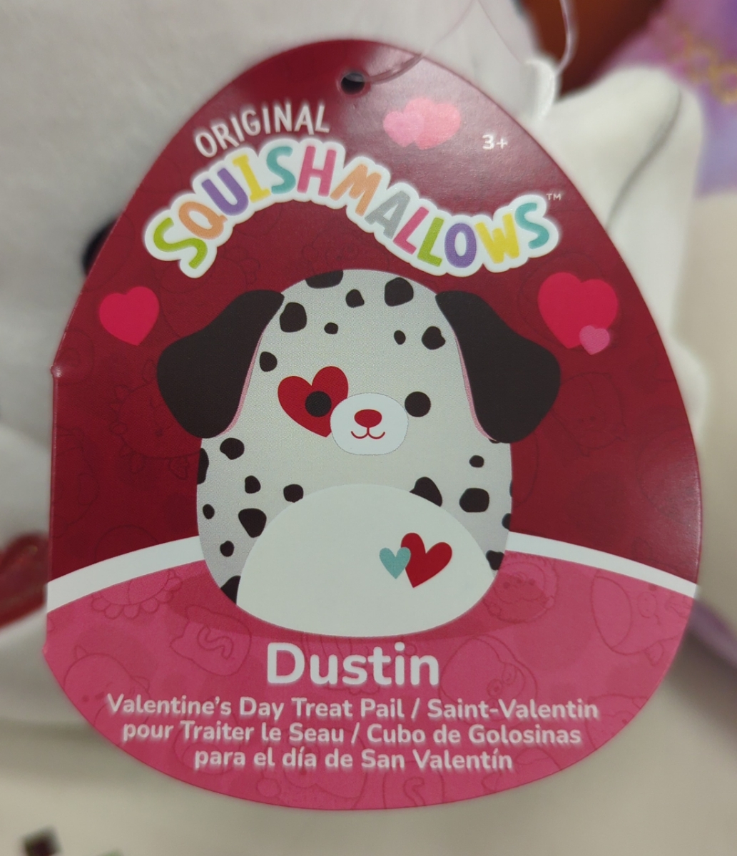 Dustin (Treat Pail) the Dalmatian (Dog) Squishmallows Valentines 2024 ...