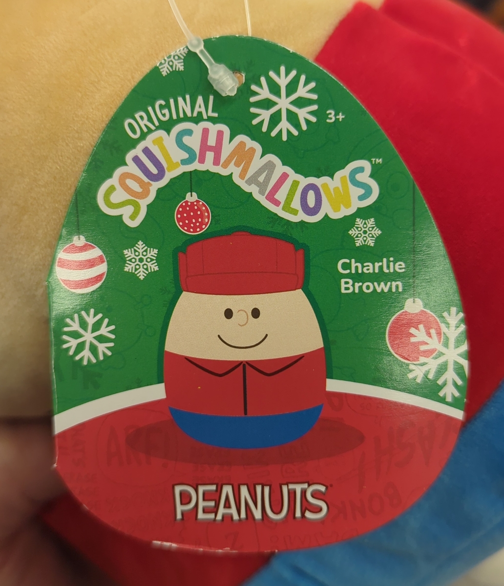 Charlie Brown (Winter) the Human Squishmallows Peanuts | SquadApp
