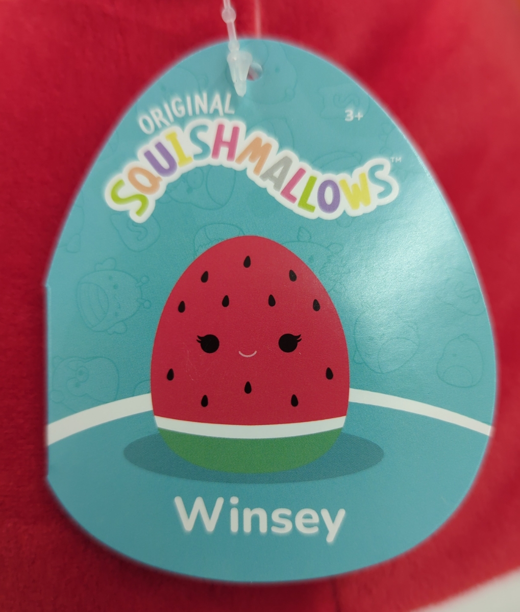 Winsey the Watermelon Squishmallows Summer | SquadApp
