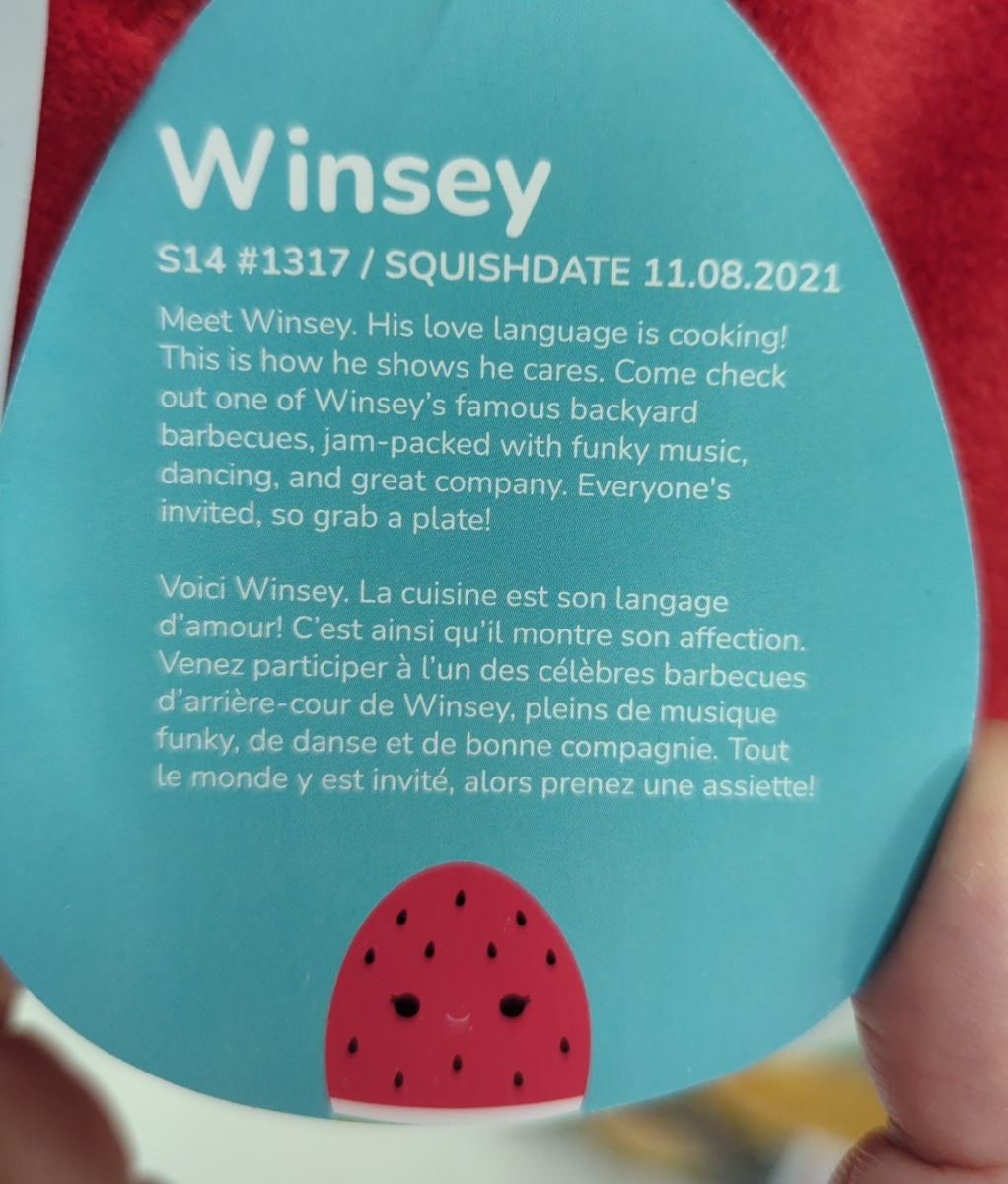 Winsey the Watermelon Squishmallows Summer | SquadApp