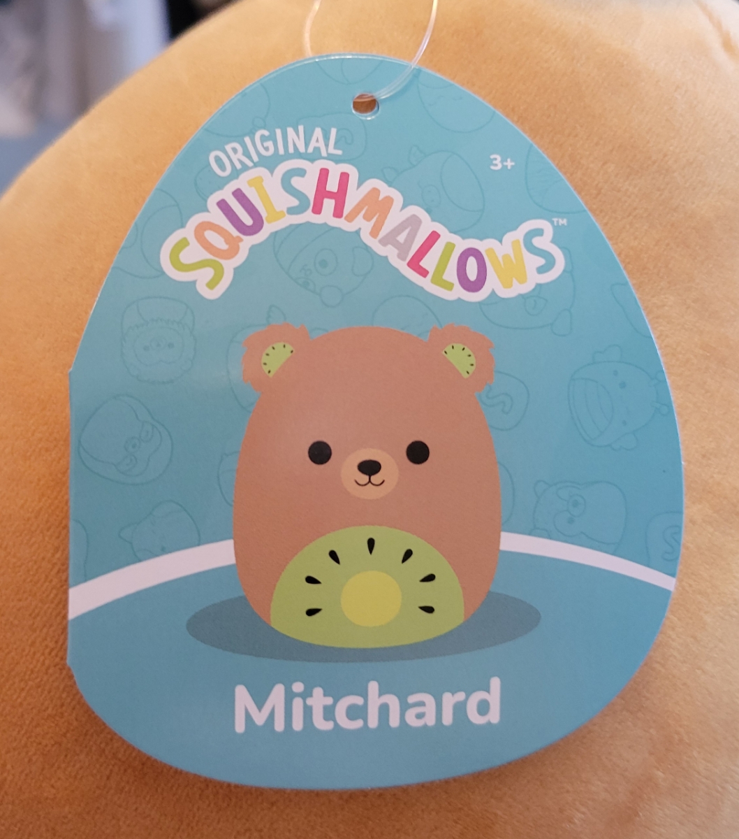Mitchard The Kiwi Bear Squishmallows Fruit Animals Squadapp
