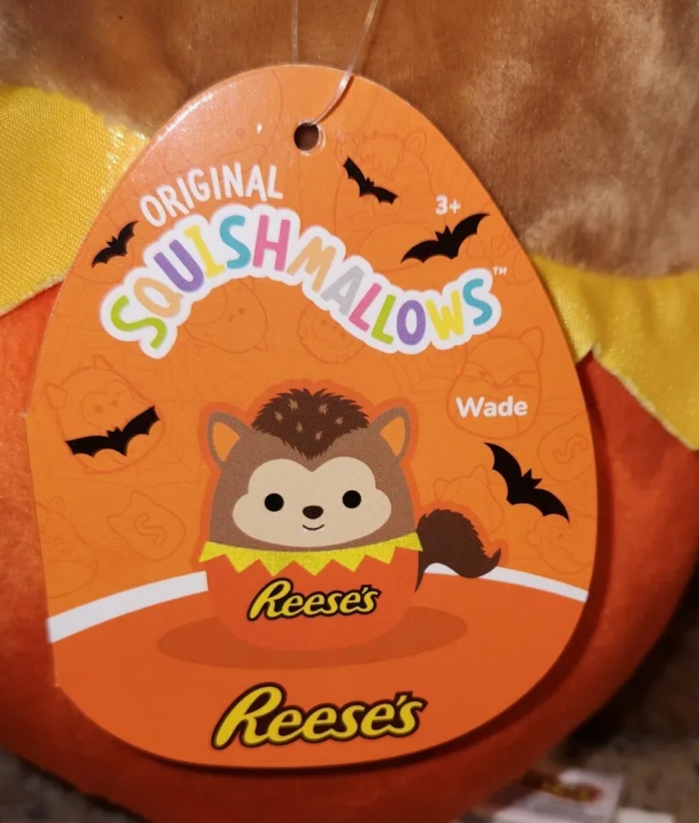 Wade (Reese's) the Werewolf Squishmallows Halloween 2022,Candy | SquadApp