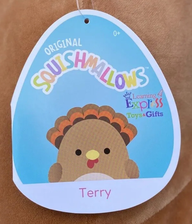 Terry the Turkey Squishmallows Thanksgiving | SquadApp