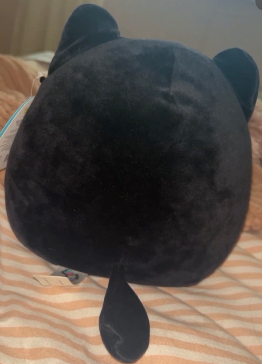 Jamal the Cat Squishmallows | SquadApp