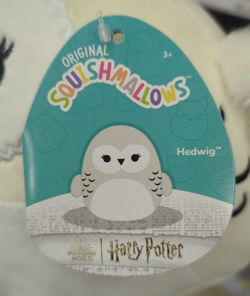 Hedwig the Owl Squishmallows Harry Potter, 5B 4.7.24 | SquadApp