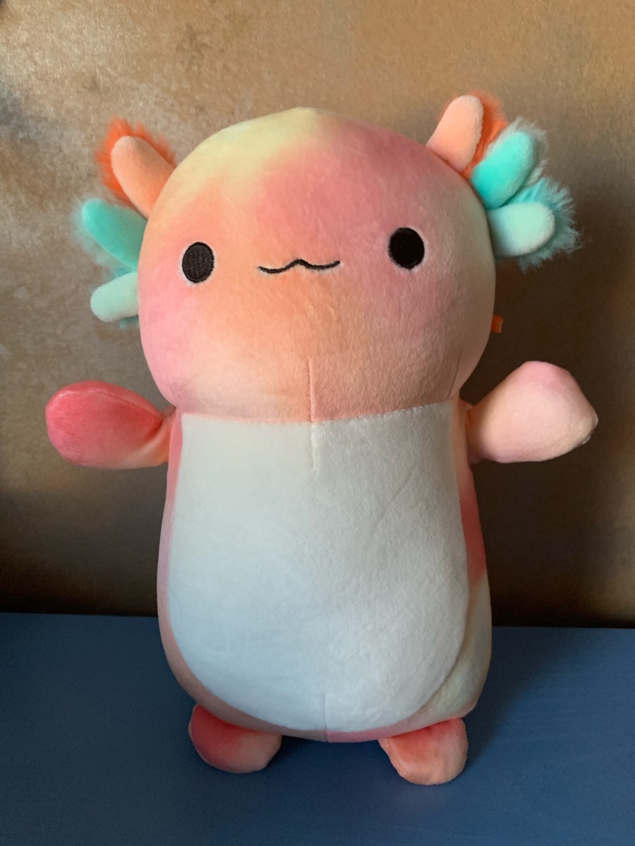 Aksel (Hug Mees) the Axolotl Squishmallows | SquadApp