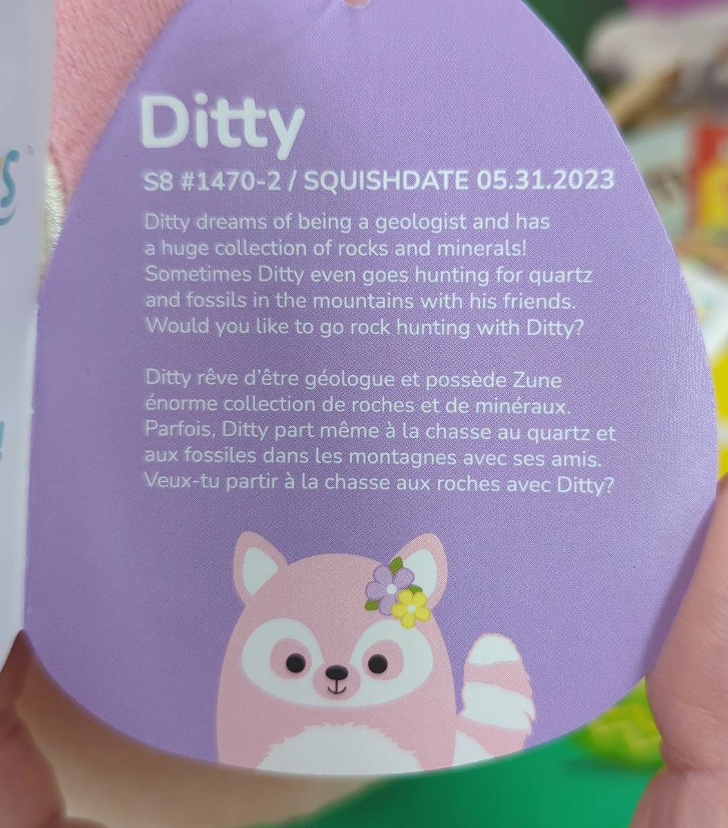 Ditty (Flower) the Lemur Squishmallows Easter 2024, 5B 3.3.23 | SquadApp
