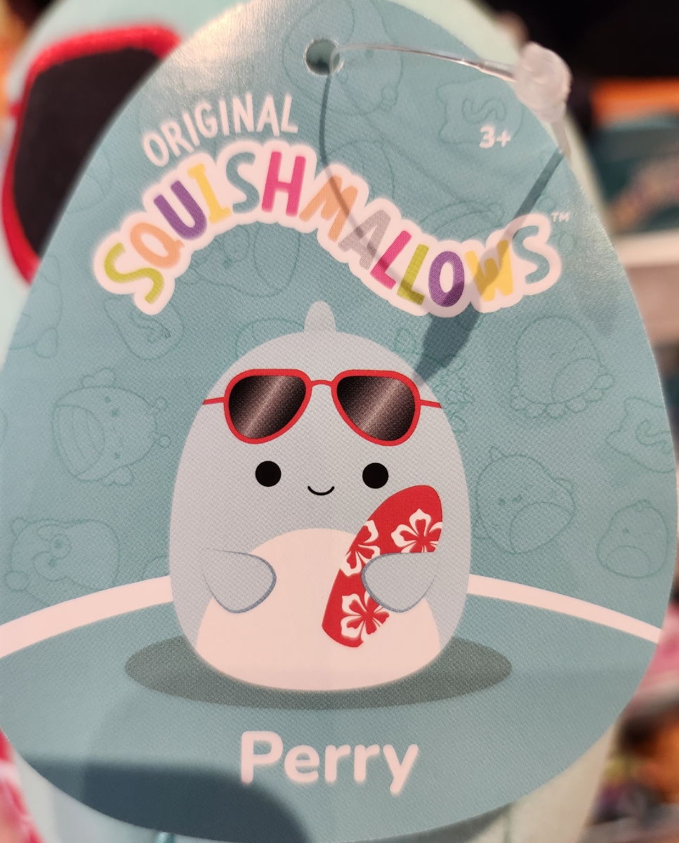 Perry (Surfboard) the Dolphin Squishmallows 5B 5.26.24 | SquadApp