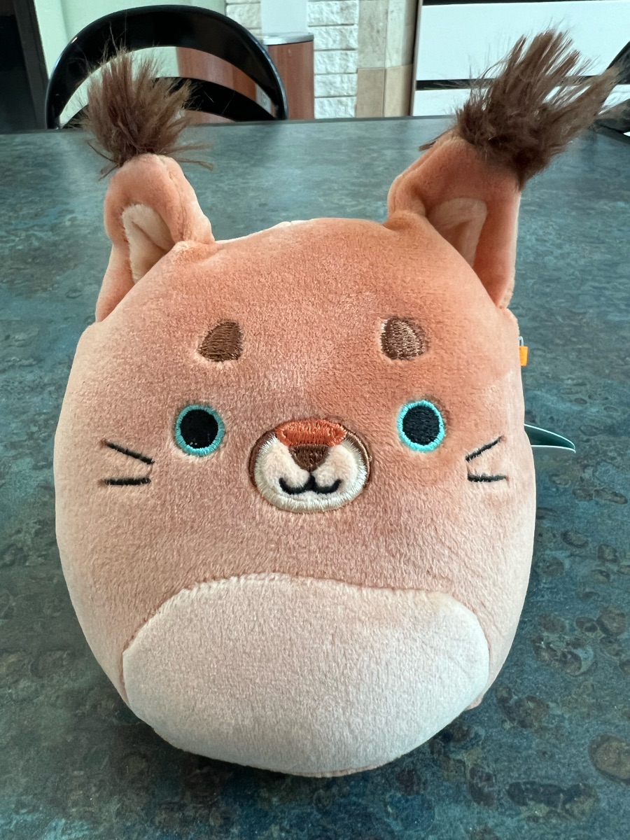 Ferraz the Caracal Cat Squishmallows Everyday Spring | SquadApp