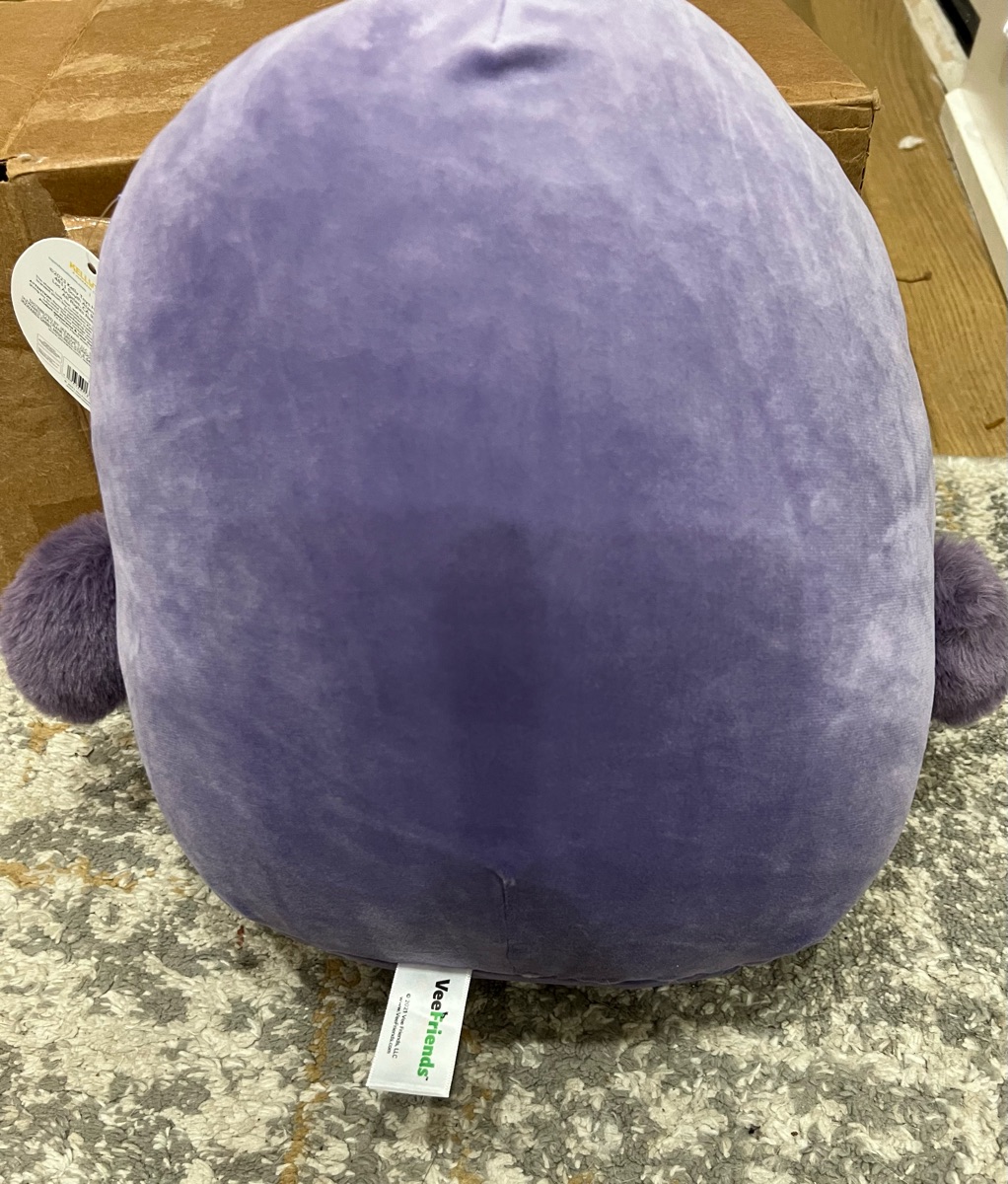 Karma Kiwi the Kiwi Bird Squishmallows VeeFriends, Select Series | SquadApp