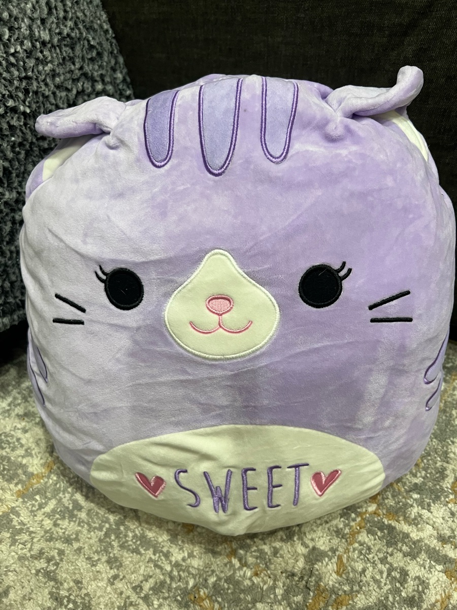 Tabitha (Sweet) the Tabby Cat Squishmallows Valentine | SquadApp