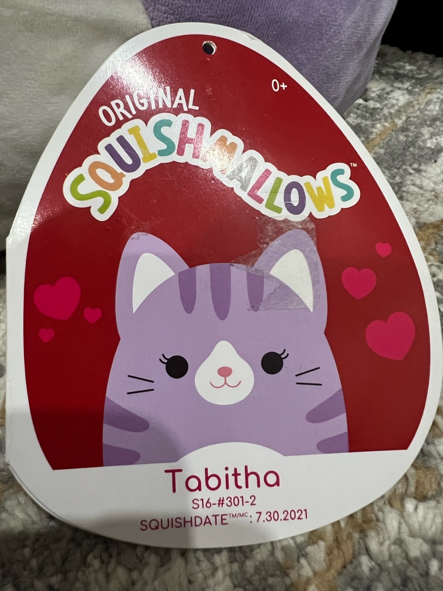 Tabitha (Sweet) the Tabby Cat Squishmallows Valentine | SquadApp