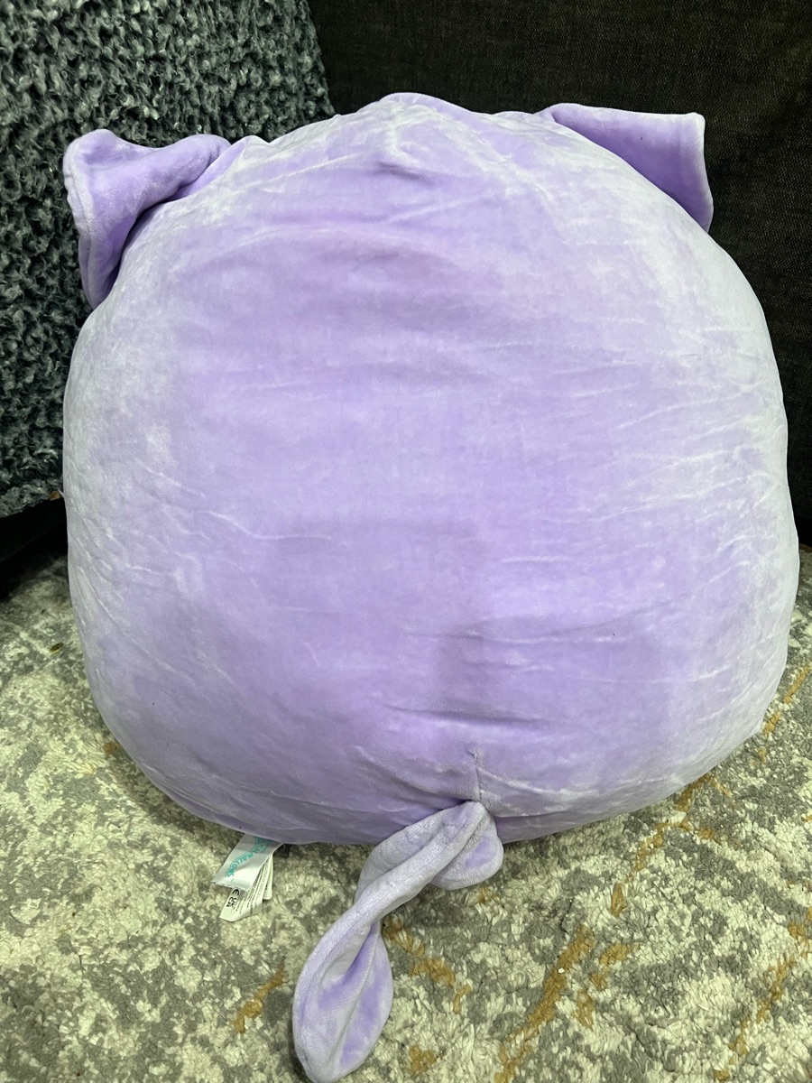 Tabitha (Sweet) the Tabby Cat Squishmallows Valentine | SquadApp