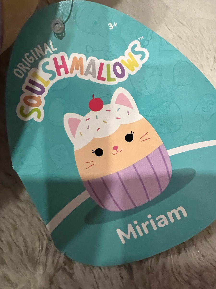 Miriam the Cupcake Cat Squishmallows Hybrid Sweets | SquadApp