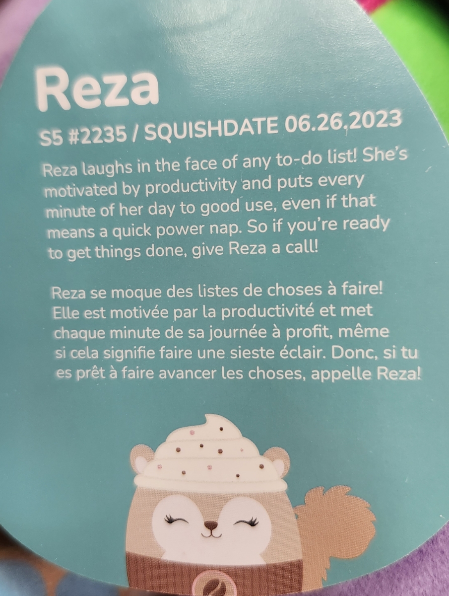 Reza (Coffee) the Squirrel Squishmallows Hybrid Sweets | SquadApp