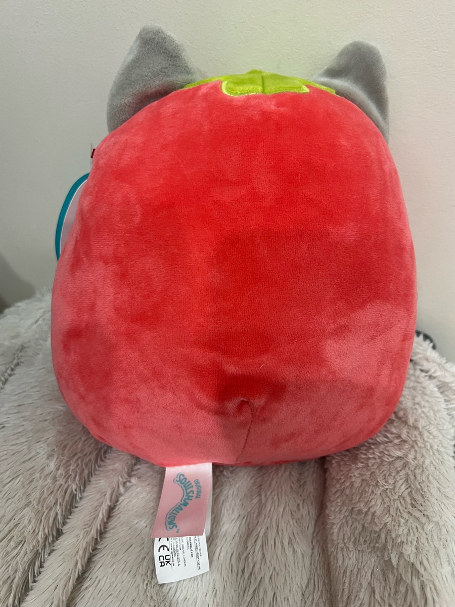 Ryan (Strawberry) the Husky (Dog) Squishmallows Costume, Fruit | SquadApp