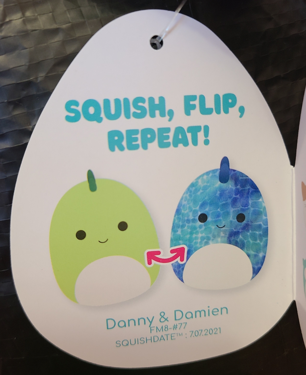 Damien & Danny the Dinosaur Squishmallows | SquadApp