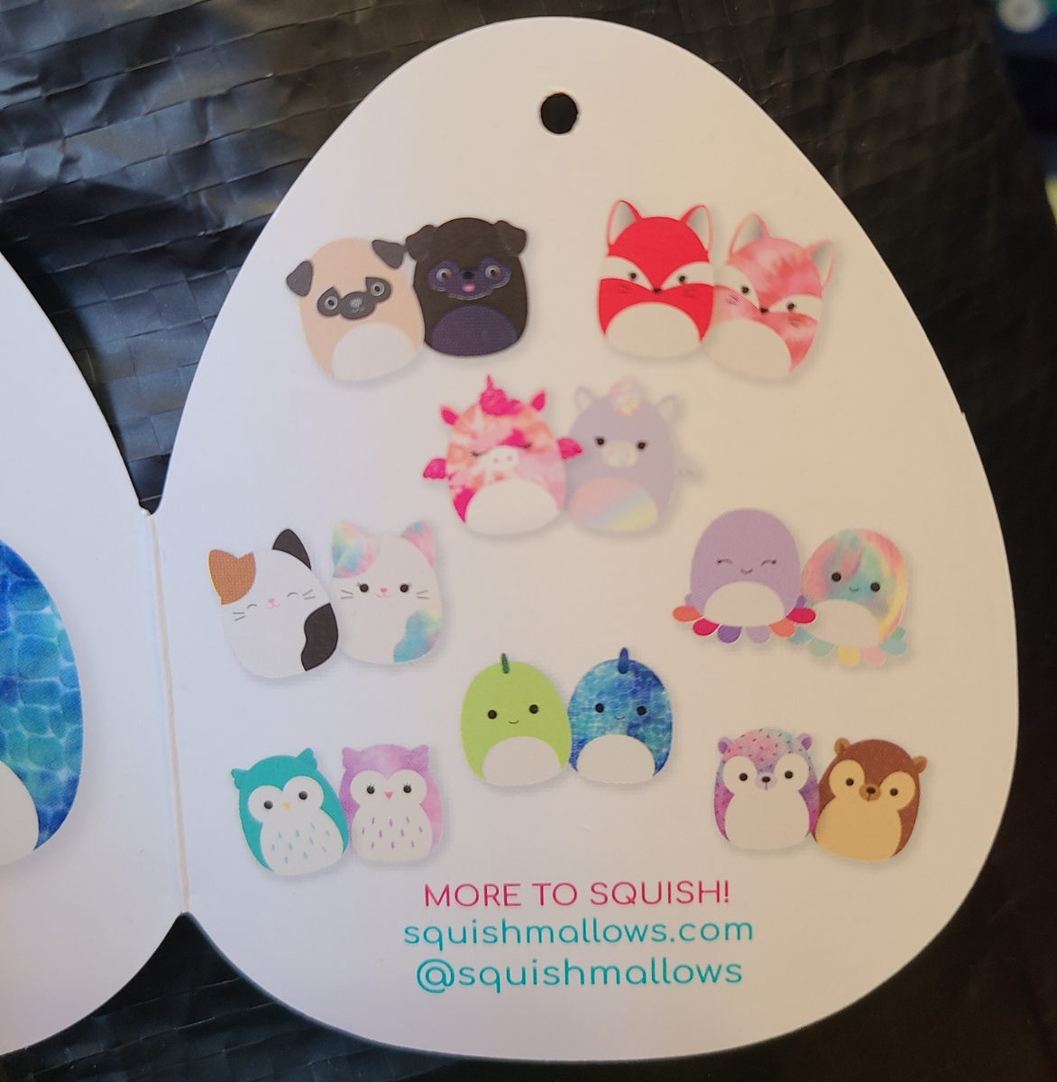 Damien & Danny the Dinosaur Squishmallows | SquadApp