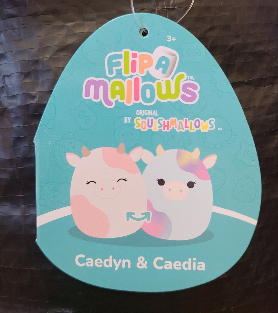 Caedyn & Caedia the Cow Squishmallows | SquadApp