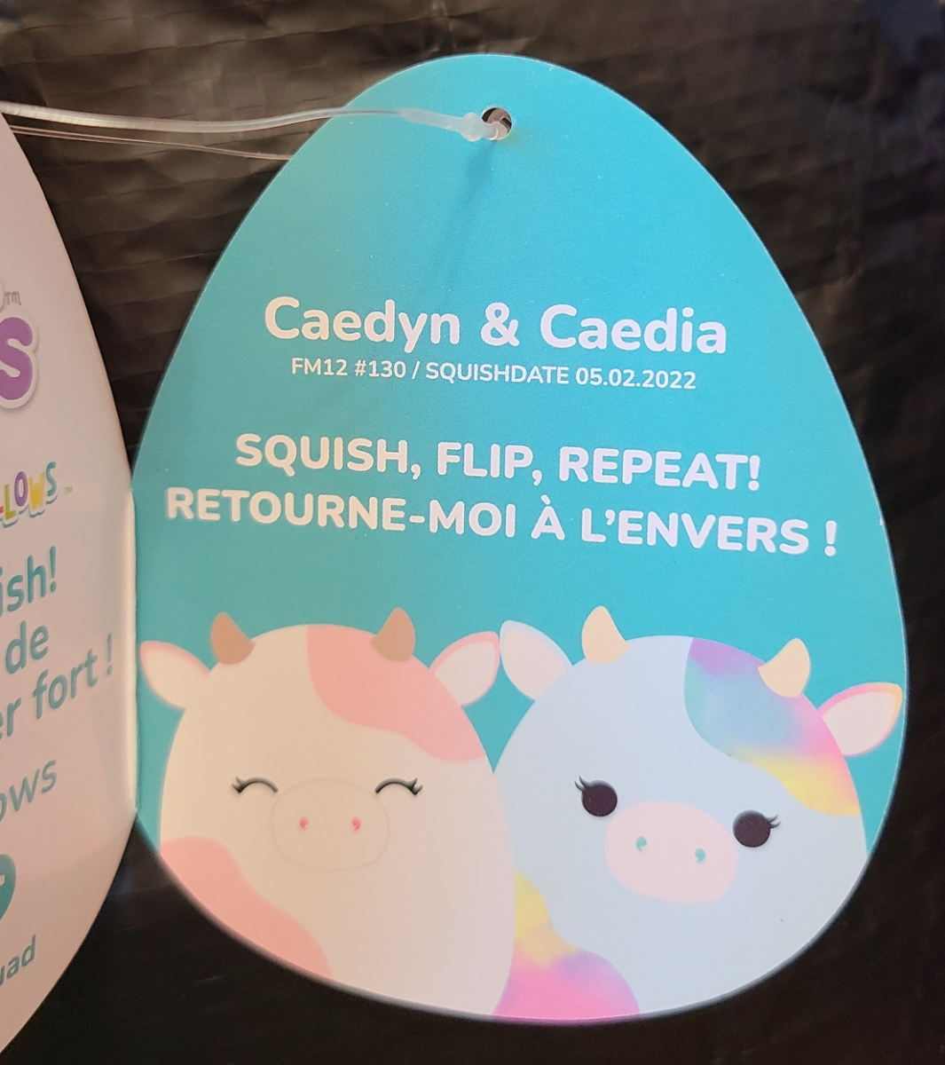 Caedyn & Caedia the Cow Squishmallows | SquadApp
