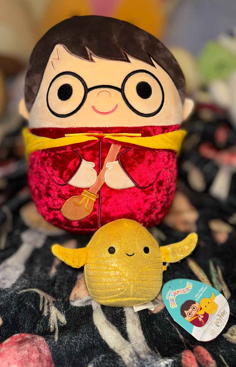 Harry Potter & Golden Snitch the Wizard Snitch Squishmallows Harry ...
