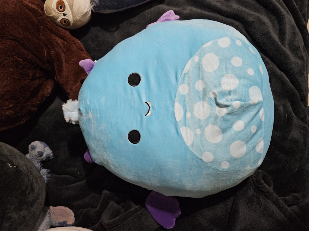 Bat Squishmallows Plush Toys
